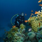 Tenerife: 3-Day Open Water Scuba Diver Course - Who Will Love This Experience?