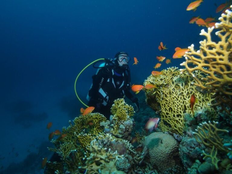 Tenerife: 3-Day Open Water Scuba Diver Course - Who Will Love This Experience?