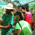 Tenerife: A tour in a food forest and a vanilla cultivation - Who Should Book This Tour?
