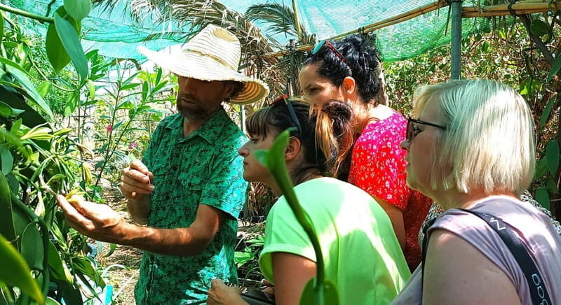 Tenerife: A tour in a food forest and a vanilla cultivation - Who Should Book This Tour?