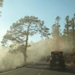 Tenerife: Afternoon 2seats Teide Buggy Tour - Who Will Love This Tour?