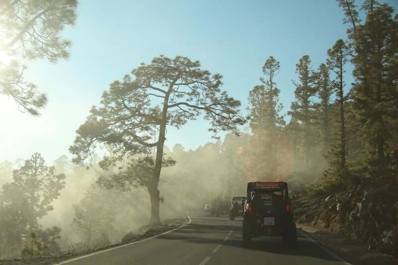 Tenerife: Afternoon 2seats Teide Buggy Tour - Who Will Love This Tour?