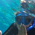 Tenerife: Alcalá Guided Snorkeling Tour - The Itinerary Breakdown: What to Expect