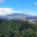 Tenerife Anaga Mountains: Circular hike in the laurel forest - What’s Included and What’s Not
