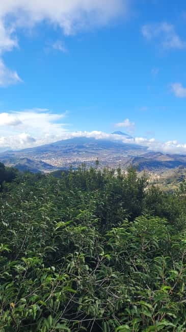 Tenerife Anaga Mountains: Circular hike in the laurel forest - What’s Included and What’s Not