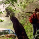Tenerife: Anaga Rural Park Private Tour - The Itinerary Breakdown