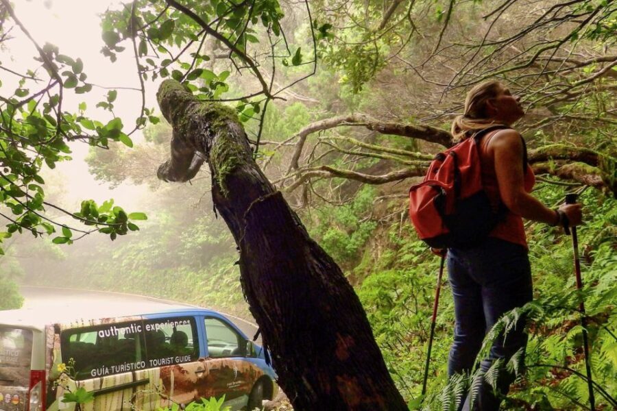 Tenerife: Anaga Rural Park Private Tour - The Itinerary Breakdown