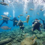 Tenerife: Beginner Scuba Diving Experience with Pickup - What Makes This Tour Stand Out?