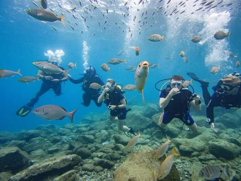 Tenerife: Beginner Scuba Diving Experience with Pickup - What Makes This Tour Stand Out?