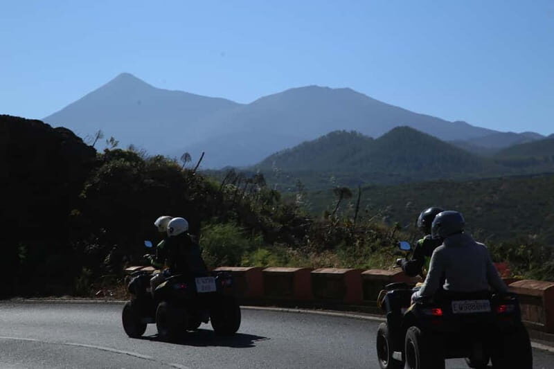 Tenerife: Coastal Sights to Woodland Heights Quad Tour - Why This Tour Is a Great Choice