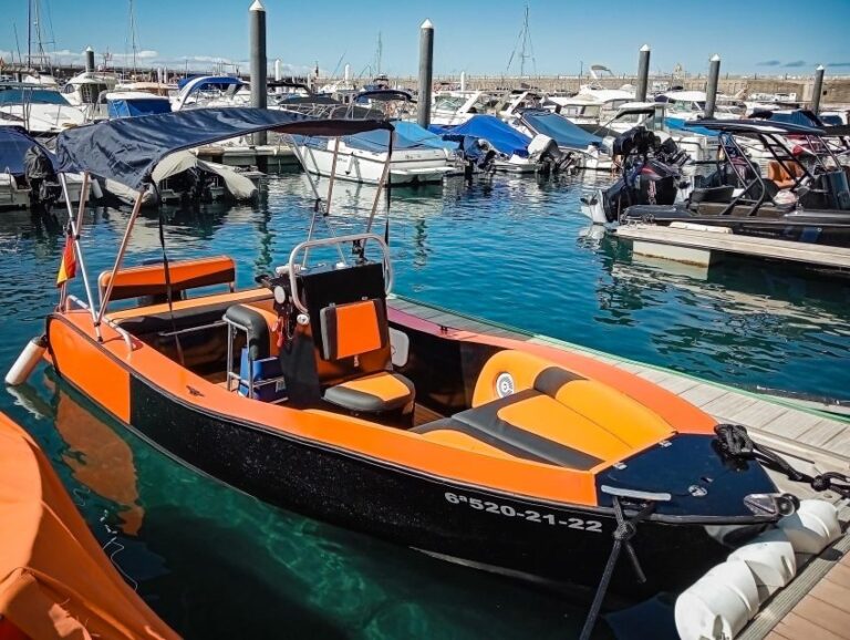 Tenerife: Discover Los Gigantes While Navigating a Boat - The Itinerary in Detail: Unreachable Spots & Unique Encounters