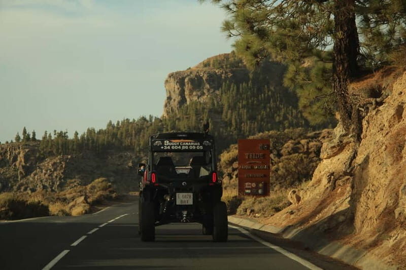 Tenerife: Family 4seats Buggy Tour of Teide - The Venues and What You’ll Experience