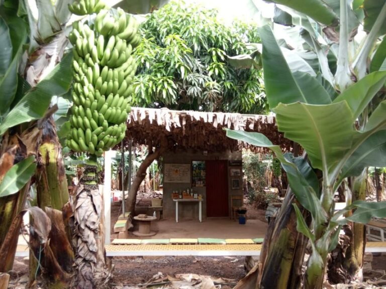Tenerife: Finca Las Margaritas Banana Plantation Experience - FAQ