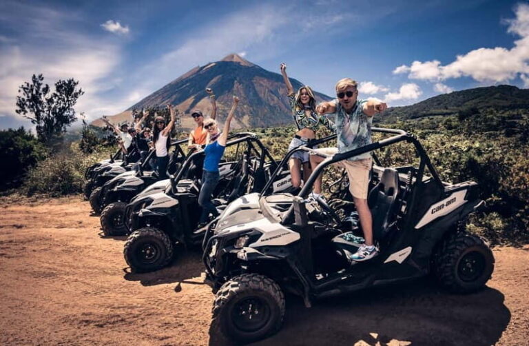 Tenerife: Guided Buggy Discovery Tour around Mount Teide - Authenticity and Traveler Insights
