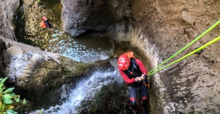 Tenerife: Guided Canyoning Experience - What Makes It Worth It
