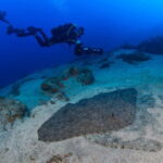 Tenerife: Guided Dive and Scooter Experience - The Dive Itself – What Can You Expect?