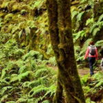 Tenerife: Guided tour guide in the Anaga Rural Park - What to Expect from Your Guided Walk