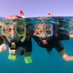 Tenerife: Half-Day Snorkeling Tour - Itinerary Breakdown: What Makes Each Stop Special