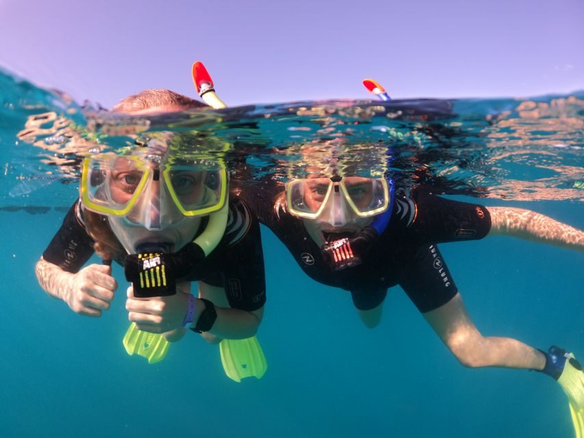Tenerife: Half-Day Snorkeling Tour - Itinerary Breakdown: What Makes Each Stop Special