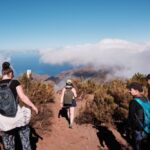 Tenerife: Hiking Tour Above Masca & Enchanted Forest - The Itinerary in Detail