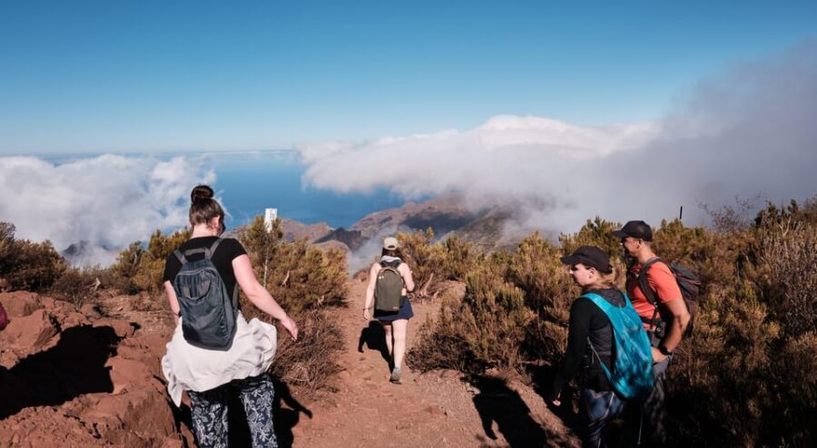 Tenerife: Hiking Tour Above Masca & Enchanted Forest - The Itinerary in Detail