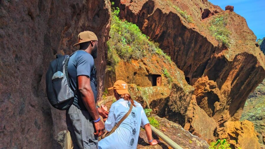 Tenerife: Hiking Tour in Anaga Mountains & Enchanted Forest - Final Thoughts: Who Will Love This Tour?