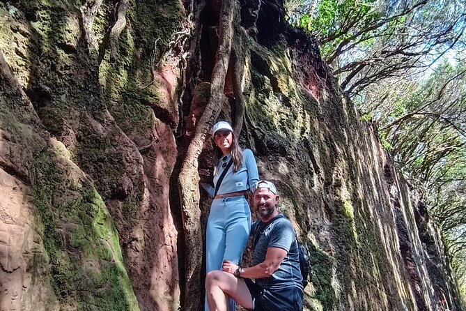 Tenerife: Hiking Tour in Anaga Mountains & Enchanted Forest - Discovering Tenerife’s Natural Treasures