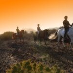 Tenerife: Horseback Ride with Instructor - Final Thoughts