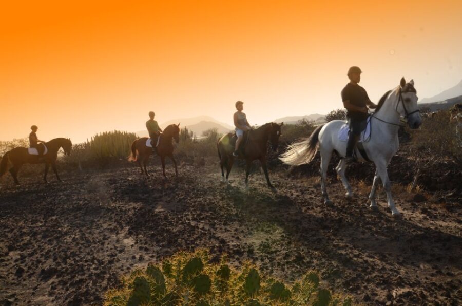 Tenerife: Horseback Ride with Instructor - Final Thoughts