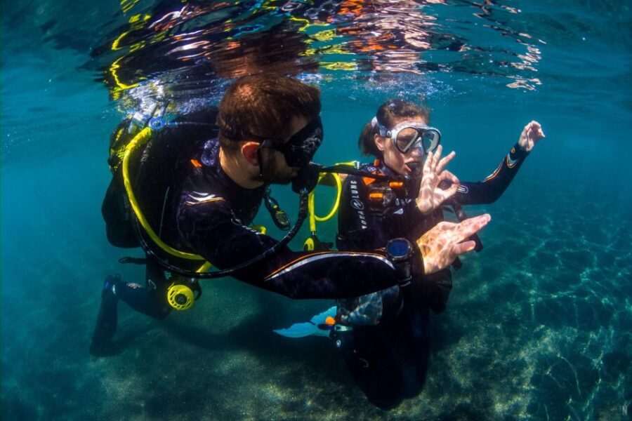 Tenerife: Introductory Dive for Cruise Ship Passengers - The Experience on the Water