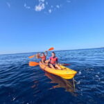 Tenerife: Kayak and Snorkeling Tour with Marine Life - The Itinerary in Detail