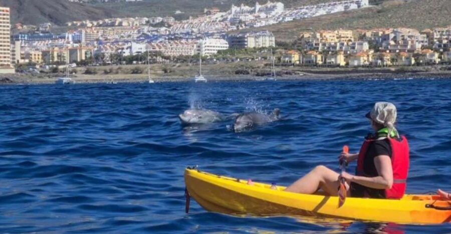 Tenerife: Kayak Safari and Sea Turtle Snorkeling with Photos - A Detailed Look at the Tour Experience