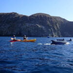Tenerife: Kayak & Snorkel Tour with Snacks & Sea Life Safari - Value for Money
