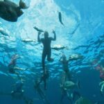 Tenerife: Kayak & Snorkeling, Marine Fauna Watching - Who Is This Tour Best For?