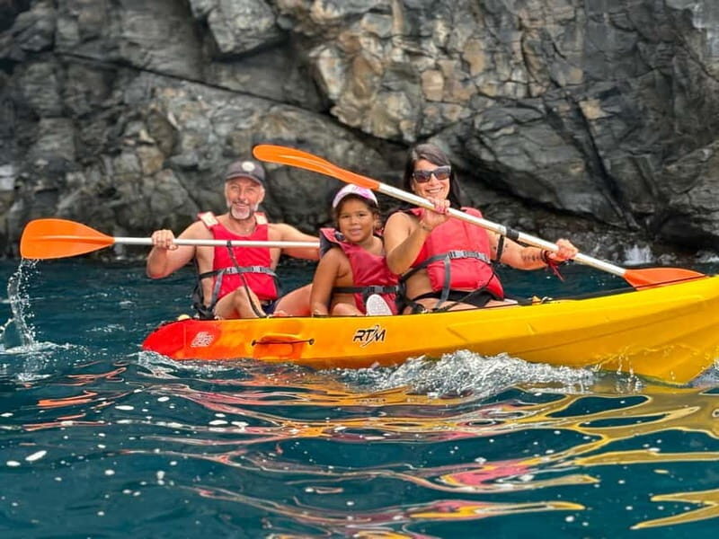 Tenerife: Kayaking and Snorkeling Tour for Groups - What Makes This Tour Stand Out