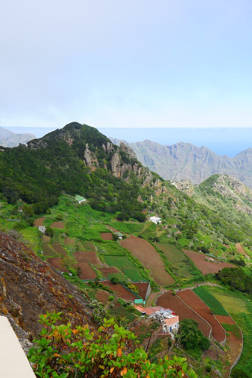 Tenerife: La Laguna & Anaga hike - What Sets This Tour Apart