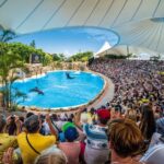 Tenerife: Loro Parque Entry Ticket - Animal Exhibits and Habitats