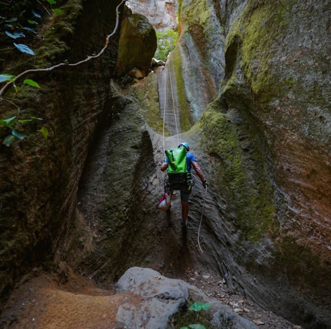 Tenerife: Los Arcos Canyoning Tour with Guide - Authenticity and Crowd-Favorite Aspects