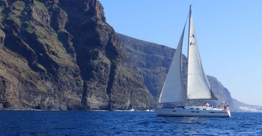 Tenerife: Los Gigantes Whale Watching Cruise by Sail Boat - Discovering the Itinerary