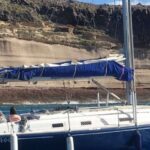 Tenerife: Luxury Private Whale & Dolphin Watching Tour - The Experience in Detail
