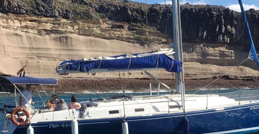 Tenerife: Luxury Private Whale & Dolphin Watching Tour - The Experience in Detail
