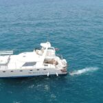 Tenerife: Marine-Life Tour with Transfer, Buffet and Drinks - The Itinerary: What to Expect