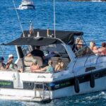 Tenerife Motor Boat Whale Watching & Snorkeling Experience - FAQ