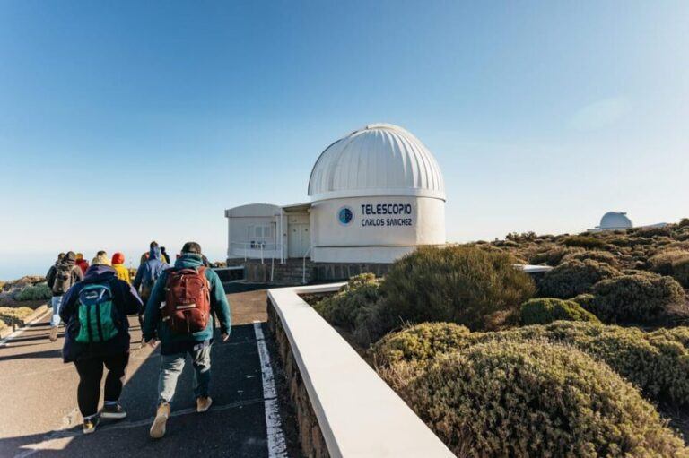 Tenerife: Mount Teide Observatory Guided Tour - Who Should Consider This Tour?