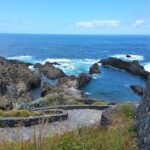 Tenerife: North Coast Landscapes Private Day Tour - The value of a private tour