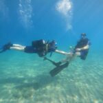 Tenerife: PADI Open Water Diver Course - Analyzing the Value