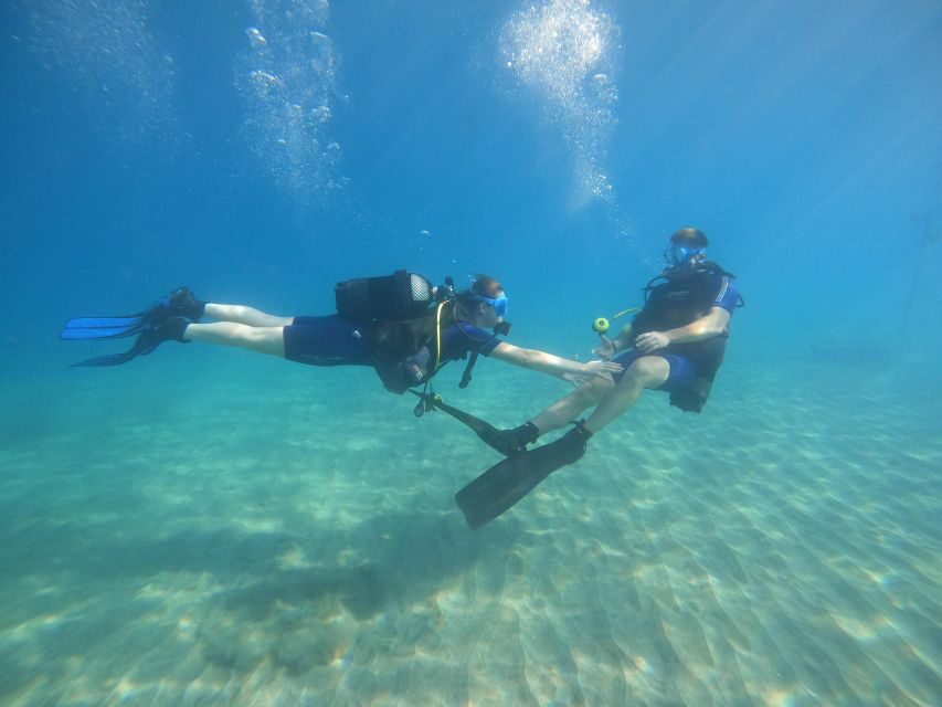Tenerife: PADI Open Water Diver Course - Analyzing the Value