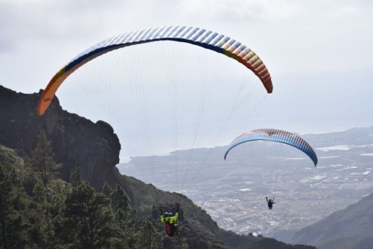 Tenerife: Paragliding Flight - Who Is This Tour Best Suited For?