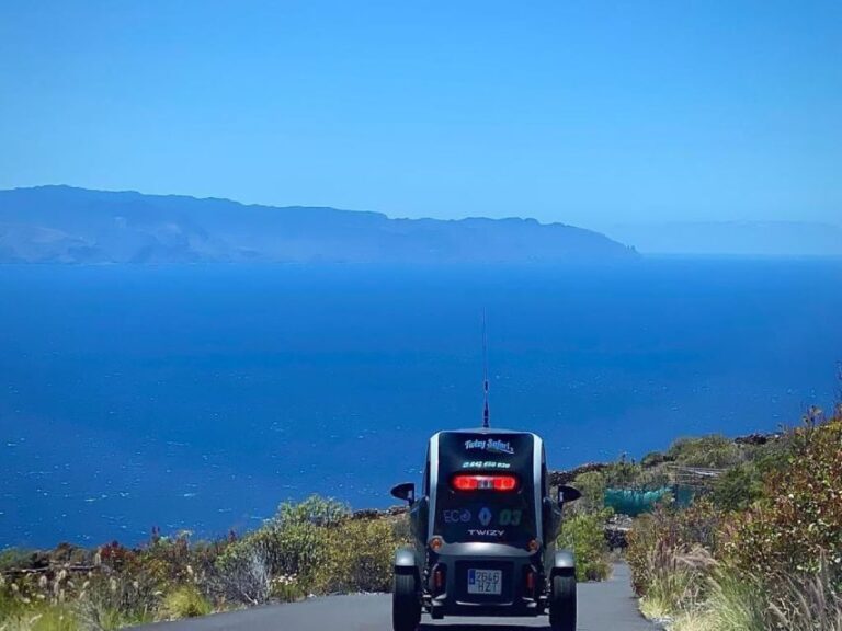 Tenerife: Private Renault Twizy Tour - The Practicalities: What You Need to Know