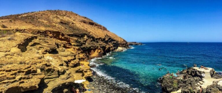 Tenerife Private Tour: Full-Day Volcanic South - What You Can Expect from This Private Tenerife Tour